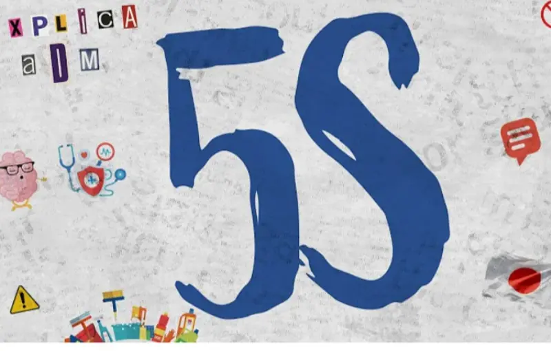 Curadoria - O que é 5S? - Academia Plaorc